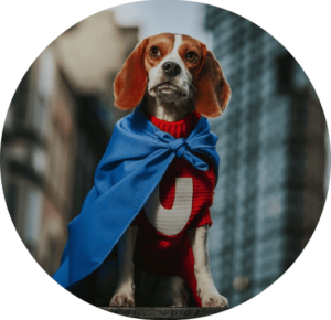 Gastown BIA - Gastown